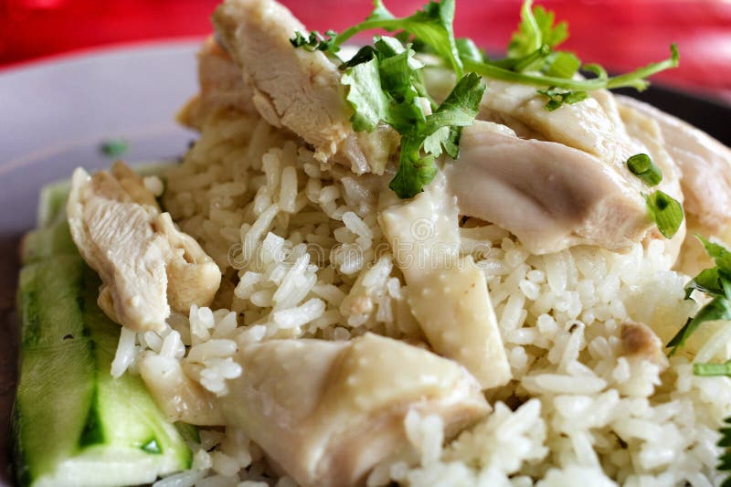 Rice steamed with chicken stock photo. Image of culture - 34560582