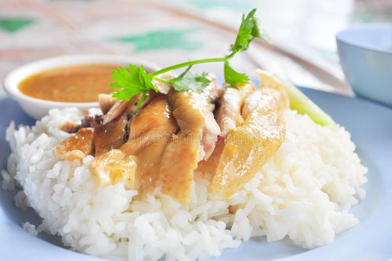 Spicy Herb Chicken and Mushroom Serve with Rice Stock Image - Image of ...