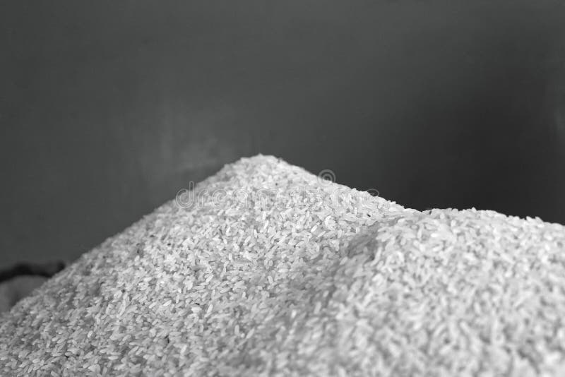 Rice stored in same place stock photo. Image of rice - 239949508