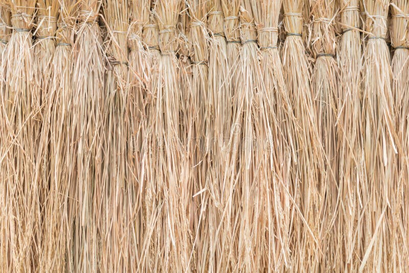 Rice straw stock photo. Image of wheat, heap, summer - 71693220