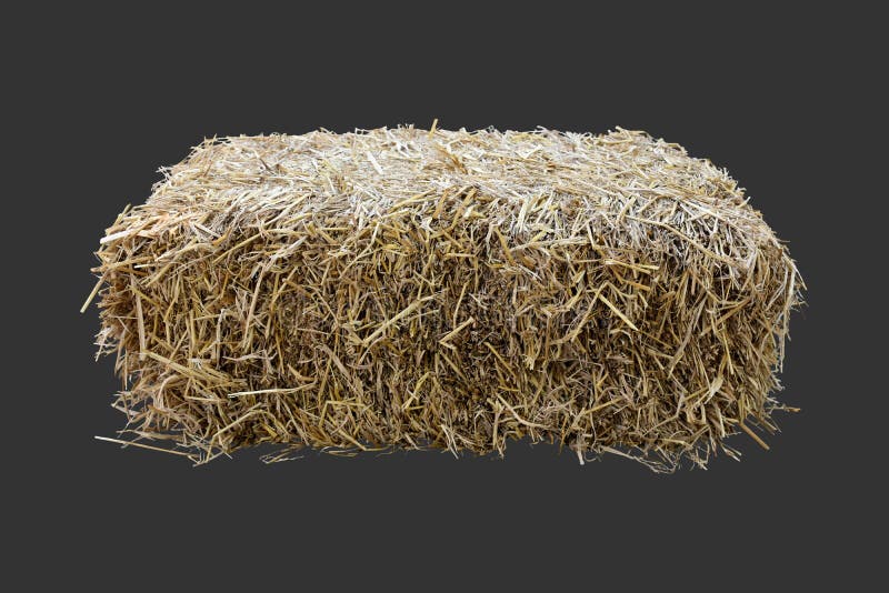 Rice Straw with Clipping Paths Stock Photo - Image of lagerstroemia ...