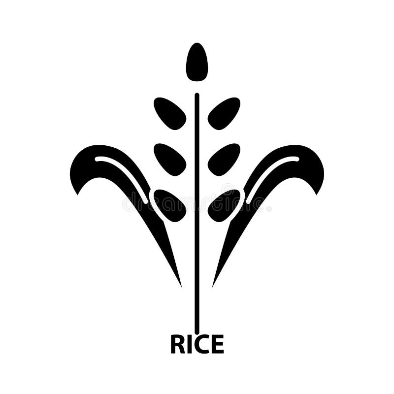 Rice Plant Icon, Linear Isolated Illustration, Thin Line Vector, Web ...