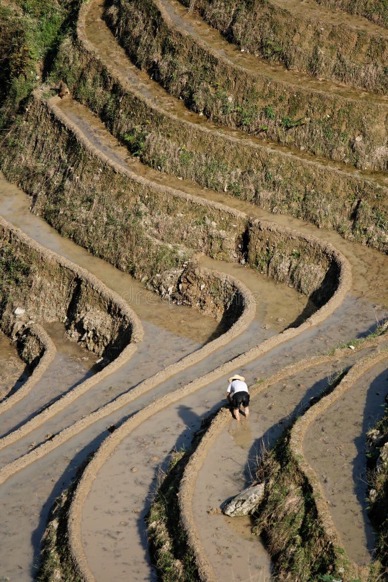 3,184 Terraced Slope Stock Photos - Free & Royalty-Free Stock Photos ...