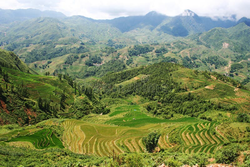 Rice Terrace Landscape stock image. Image of poverty, valley - 4511253