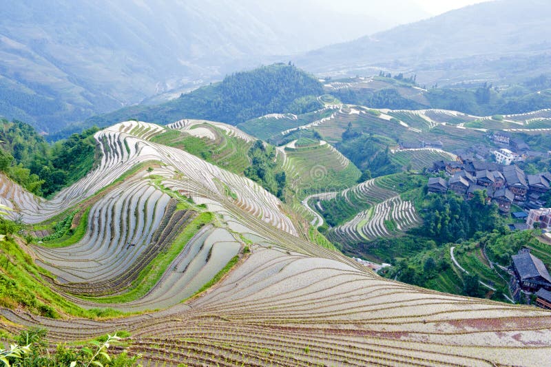 Rice Terrace Landscape in China Stock Photo - Image of china, land ...