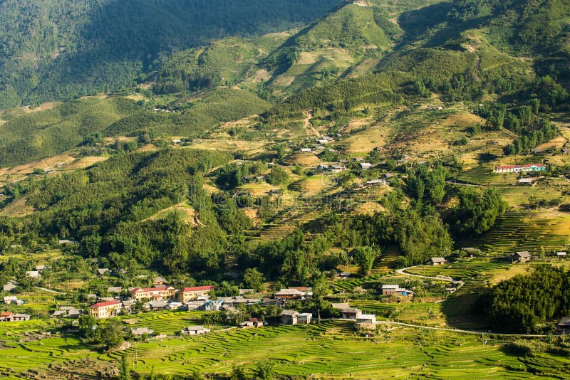 Rice Terrace in Sapa Vietnam Stock Photo - Image of landscape, sapa ...
