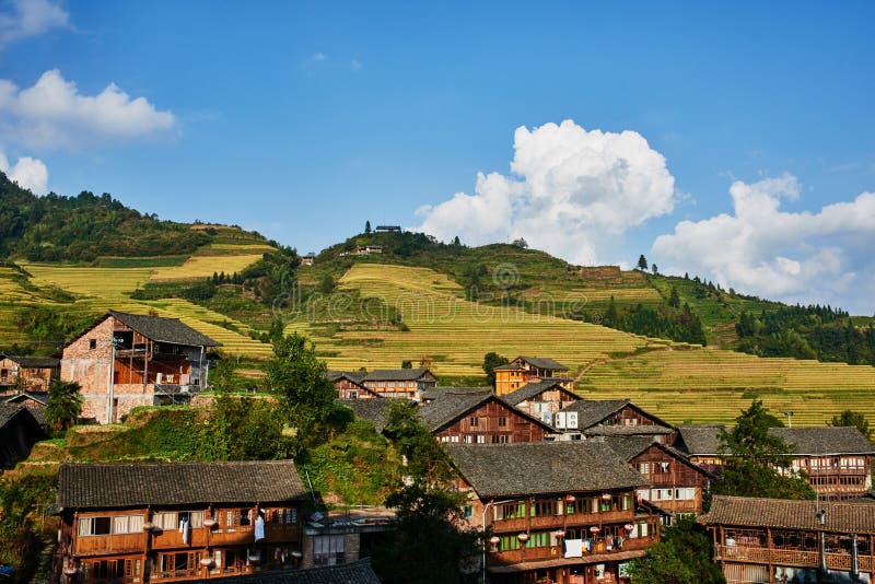 Rice Terraced Fields Wengjia Longji Longsheng Hunan China Stock Photo ...