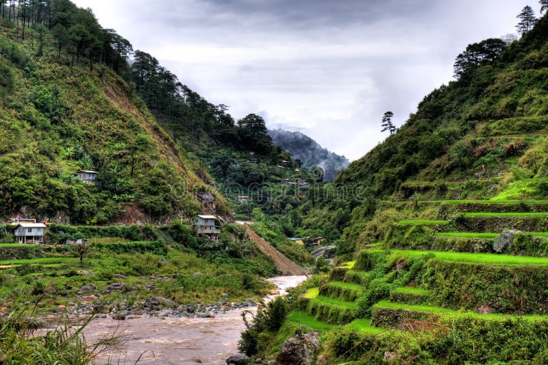 Chico Rice Stock Photos - Free & Royalty-Free Stock Photos from Dreamstime