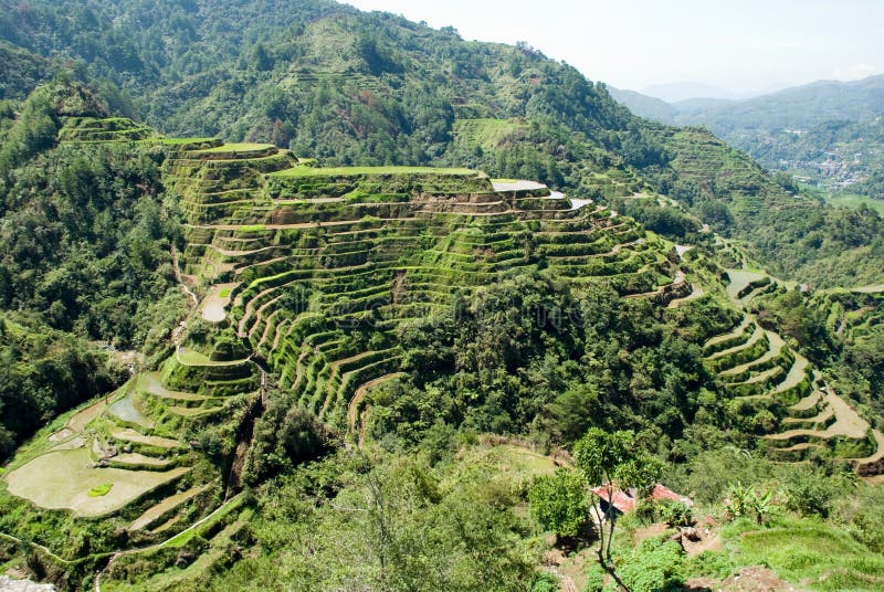 Rice terraces stock image. Image of terrace, rice, province - 14327987