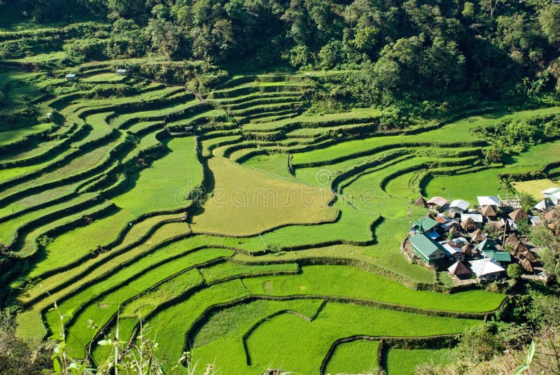 Rice terraces stock image. Image of terrace, rice, province - 14327987