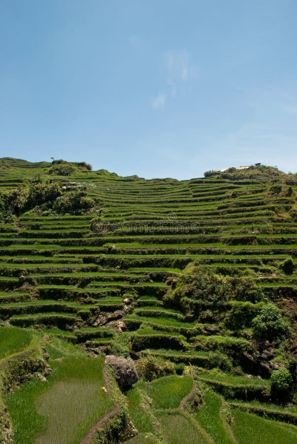 Rice terraces stock image. Image of terrace, heritage - 14328169