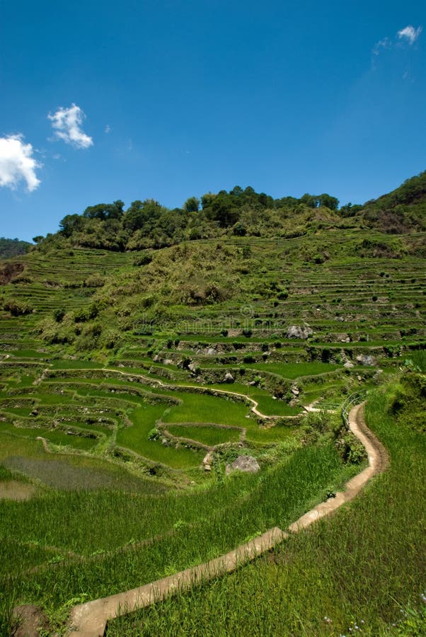 Rice terraces stock image. Image of terrace, rice, province - 14327987