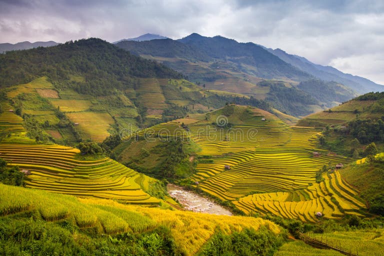 671 Colorful Rice Terraces China Stock Photos - Free & Royalty-Free ...