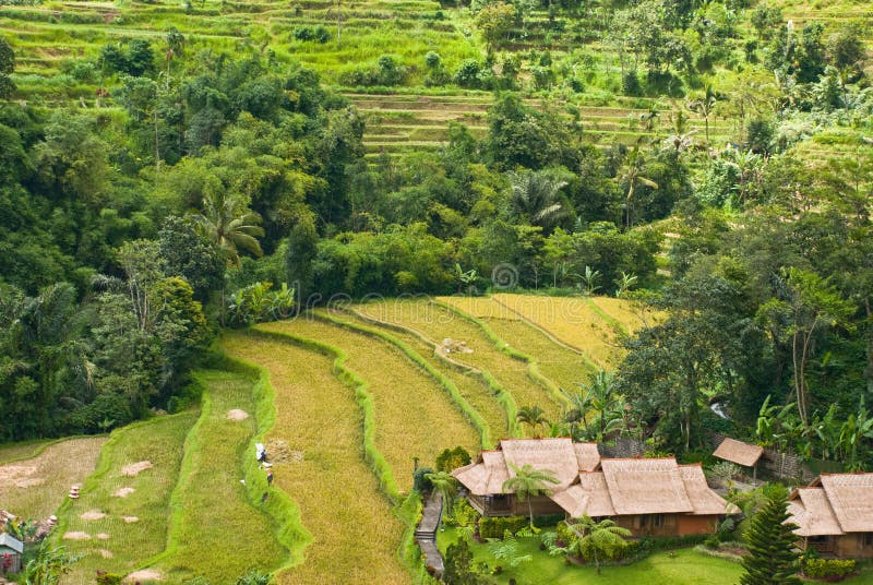 Nepali Traditional Houses with in Nature Stock Image - Image of house ...