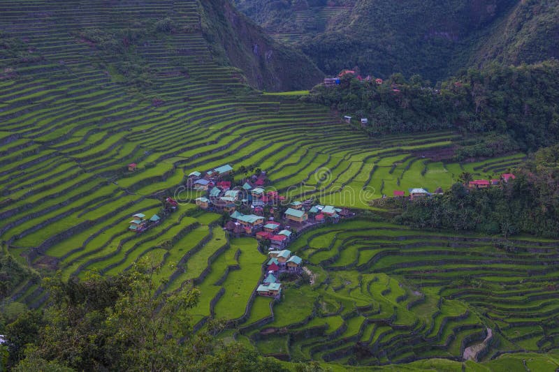 Rice Terraces in Banaue the Philippines Stock Photo - Image of hills ...