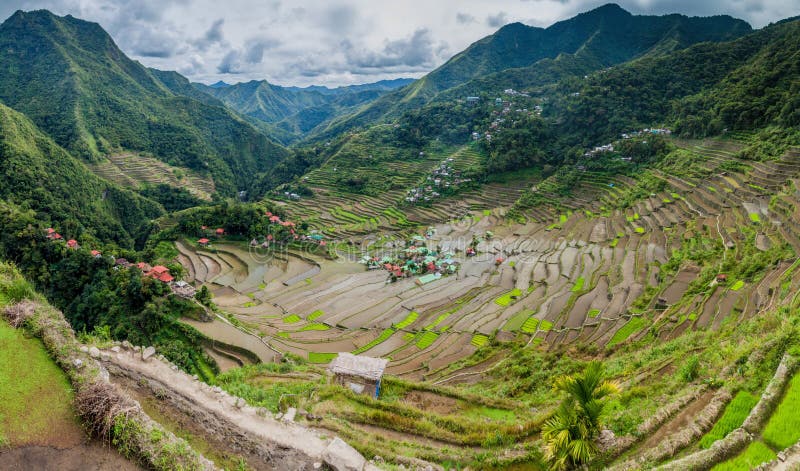 Rice Terraces of Batad, Ifugao Province, Philippin Stock Image - Image ...