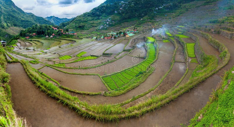 Rice Terraces of Batad, Ifugao Province, Philippin Stock Photo - Image ...