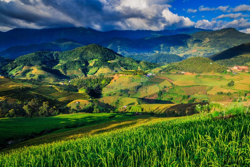 Rice terraces stock photo. Image of crop, farm, clouds - 58252904