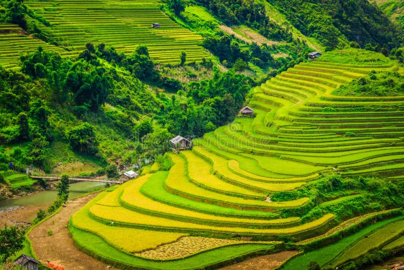 Rice terraces stock image. Image of nature, land, island - 58266207
