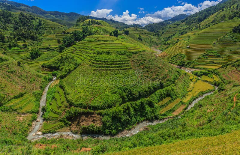 Rice terraces stock image. Image of asian, green, farm - 58267463