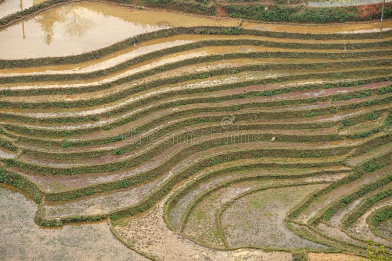 Rice terraces stock photo. Image of travel, heritage - 80747998