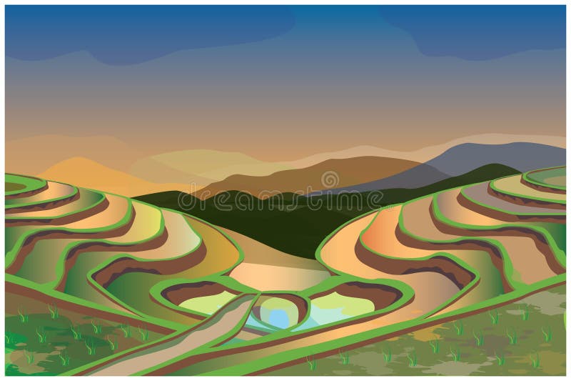 Rice Terraces on the Mountain Design Stock Vector - Illustration of ...