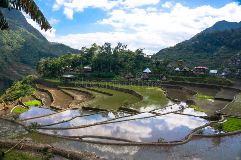 Rice Terraces on the Mountain. Stock Image - Image of morning, asian ...