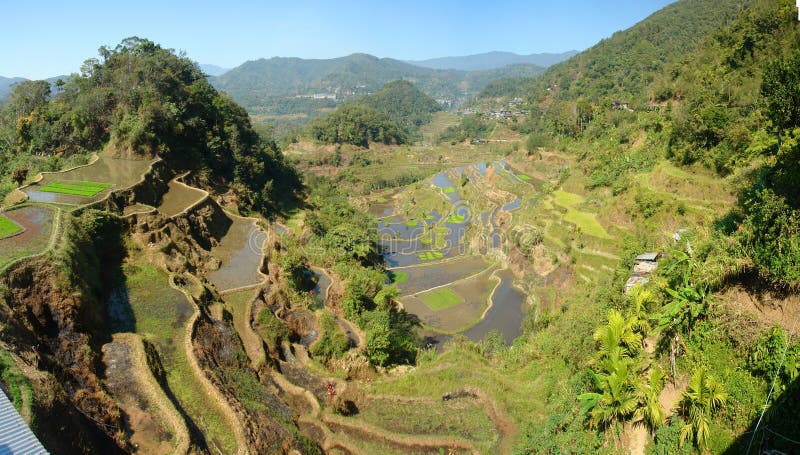 Rice Terraces of the Philippine Cordilleras. Stock Image - Image of ...
