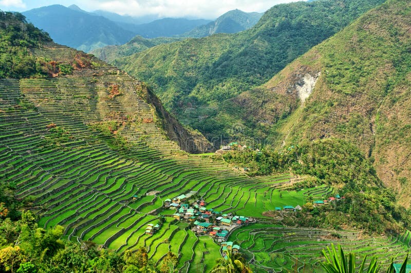 Rice Terraces of the Philippine Cordilleras. Stock Image - Image of ...