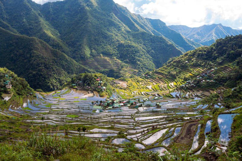 Rice Terraces in Philippines. Rice Paddies Valley of Batad, Philippines ...