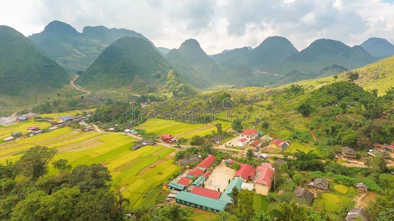 Rice Terraces in Ripe Rice Season Editorial Stock Photo - Image of ...