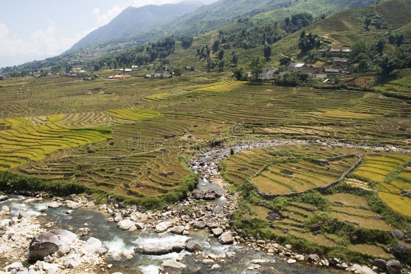 Rice Terraces On A River Valley 2 Picture. Image: 6891885