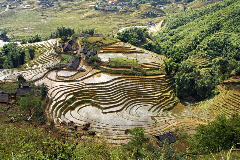 Rice Terraces, Sa Pa, Vietnam Stock Image - Image of rice, north: 27865723