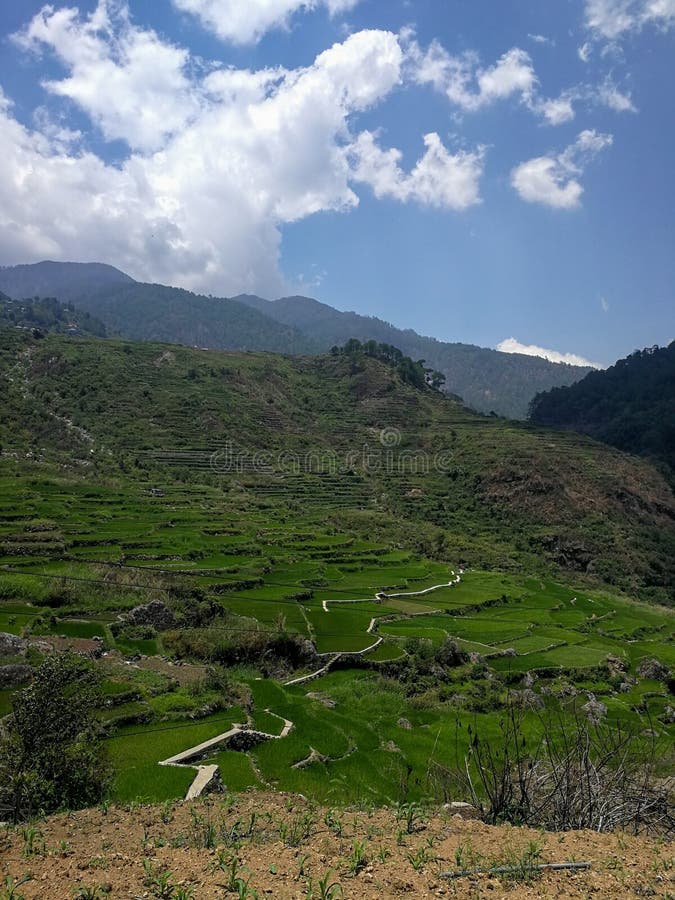 Rice Terraces from Sagada stock photo. Image of plain - 219322784