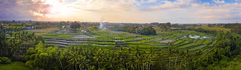 Rice terraces at sunrise stock image. Image of morning - 157746895