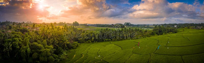 Rice terraces at sunrise stock photo. Image of sunset - 157746916