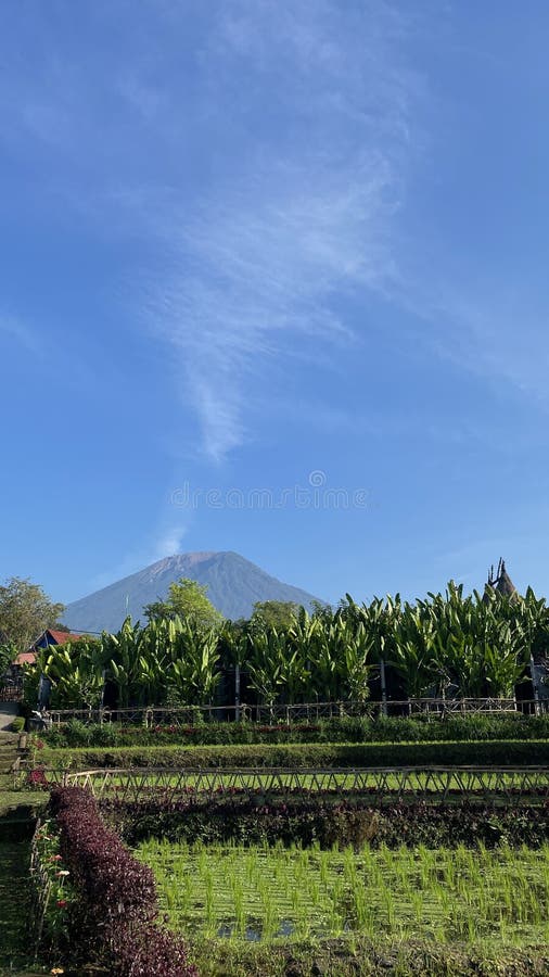 Rice Terraces, a View of a Volcano, a Village in Indonesia Stock Image ...