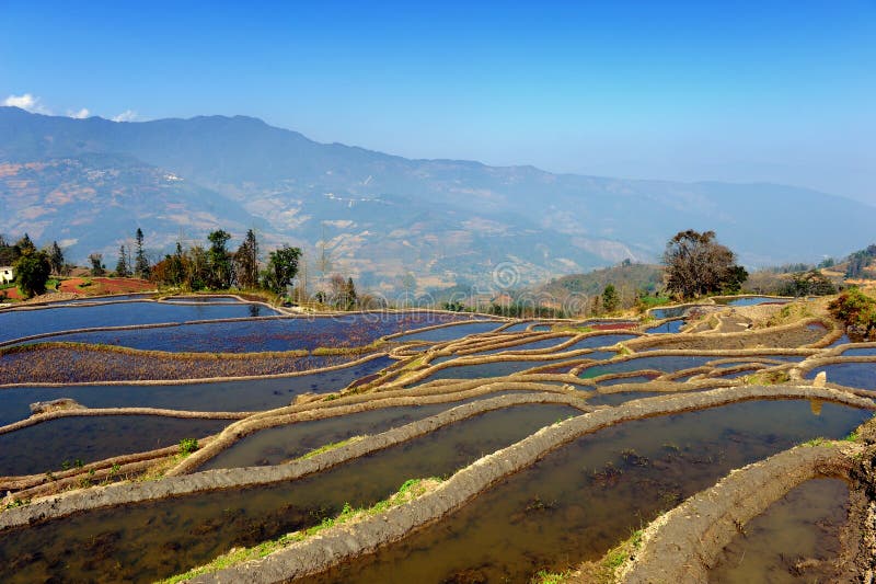 Rice terraces of yuanyang stock photo. Image of field - 18667926