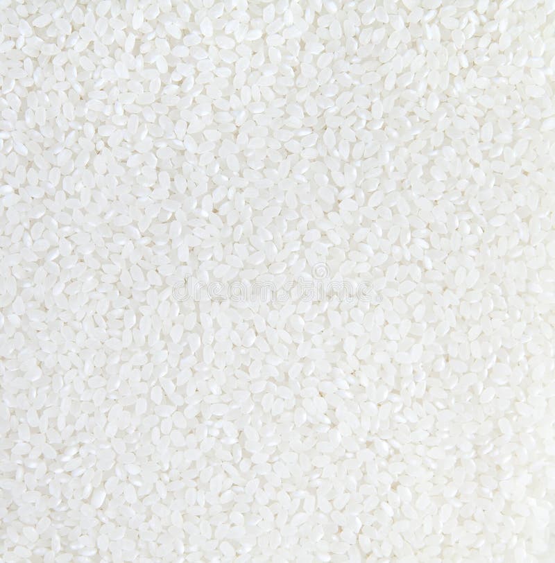 Rice Texture. stock image. Image of pattern, sushi, grain - 17948815
