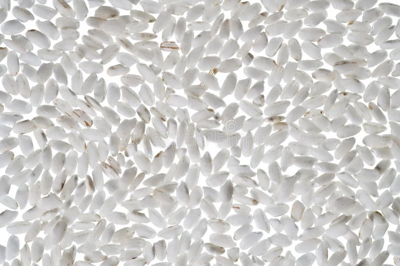 Rice texture stock photo. Image of nature, food, grain - 20489578