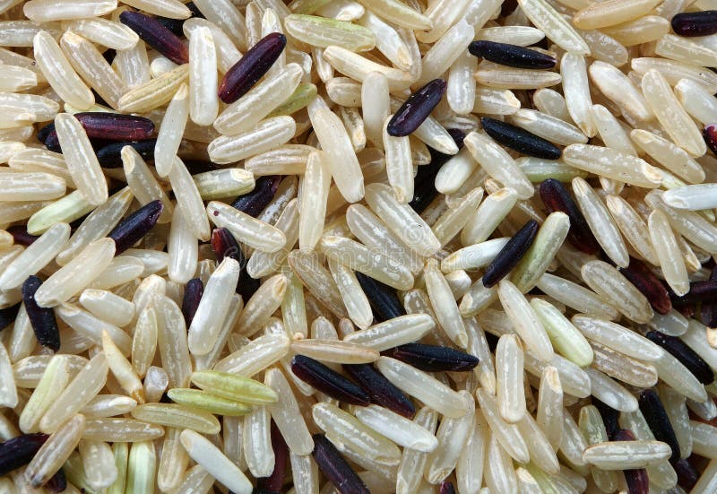 Rice Texture Background Close-up. Wild Brown Rice. Stock Image - Image ...