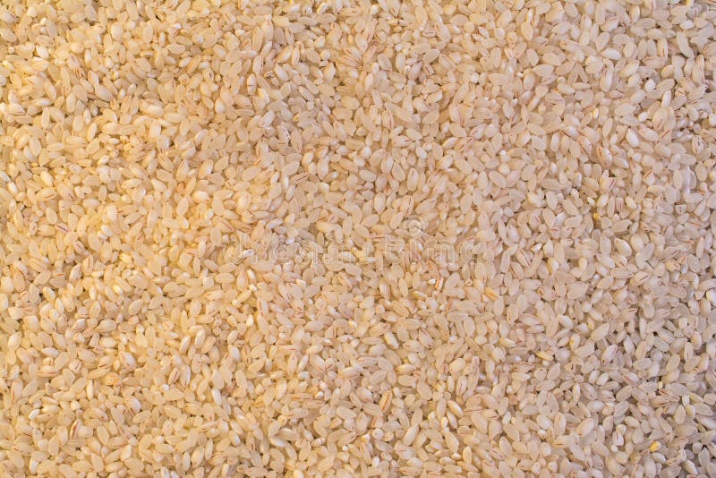 Rice stock photo. Image of grain, food, background, texture - 71614530