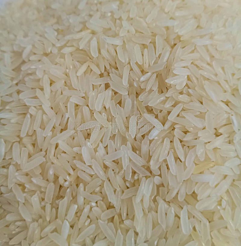 Rice Thai Rice Thai Food Rice Grains White Stock Image - Image of snack ...