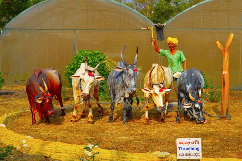 Rice Threshing. Sculpture Museum, Kaneri Math, Kolhapur, Maharashtra ...