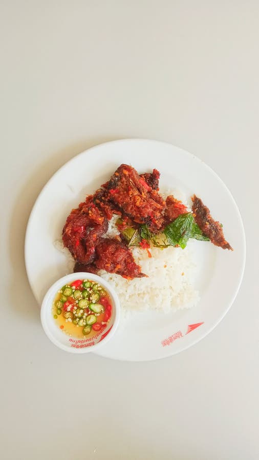 Rice Topped with Stir-fried Chili Paste, Catfish, on a Plate, from the ...