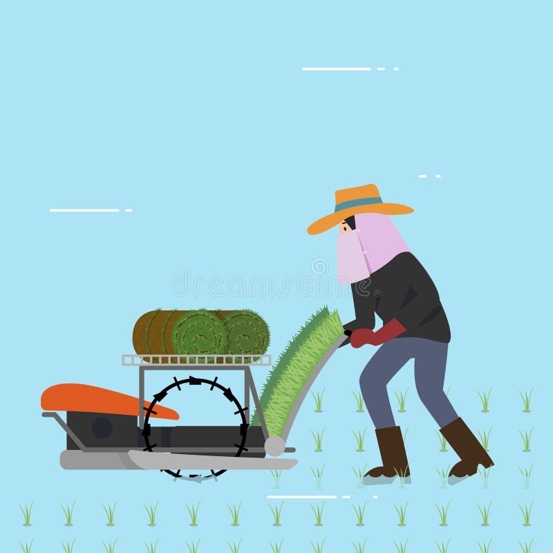 Rice transplanter stock illustration. Illustration of culture - 369013288