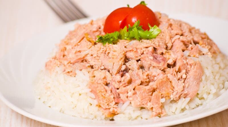 Rice with tuna stock photo. Image of delicious, healthy - 39809350