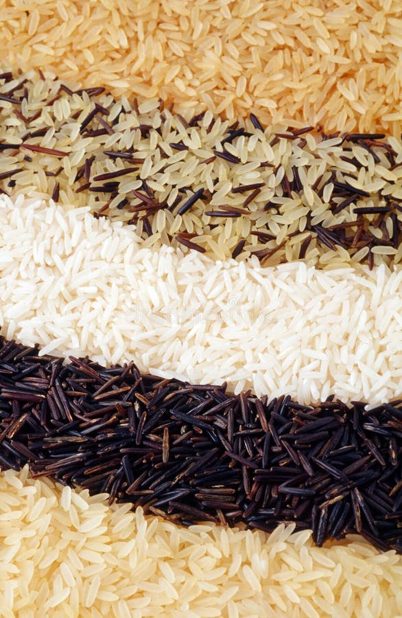 Rice types stock image. Image of uncooked, diet, round - 94596335