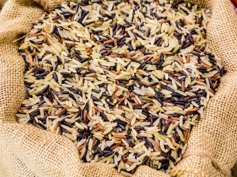 Rice. stock image. Image of rice, healthy, ingredient - 45649965