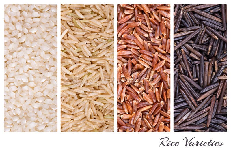Rice varieties collage stock photo. Image of black, organic - 33484902